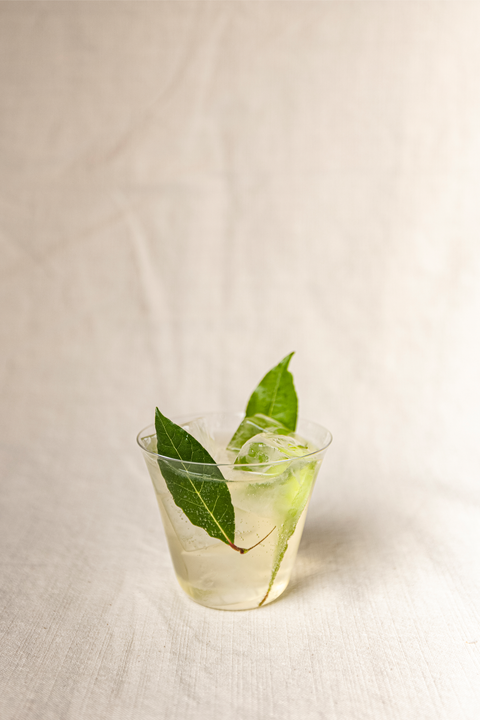 Bôtan Spritz – Bôtan Distillery